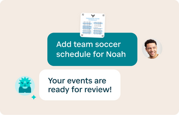 Features – Hearth Display