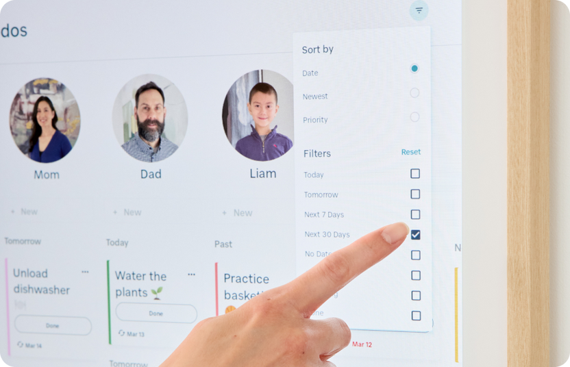 Features – Hearth Display