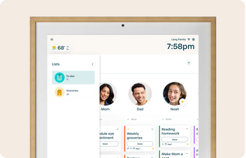 Features – Hearth Display