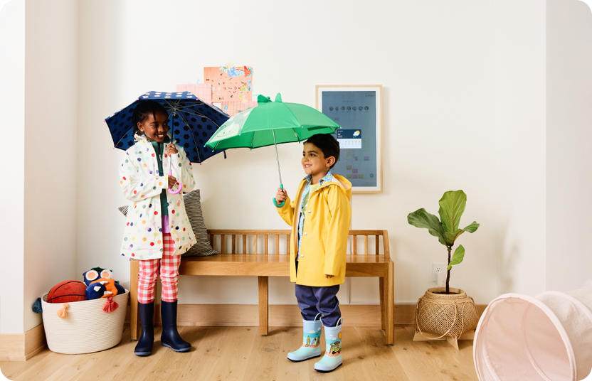 Features – Hearth Display