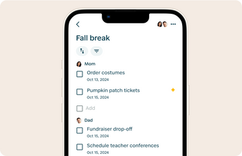 Features – Hearth Display
