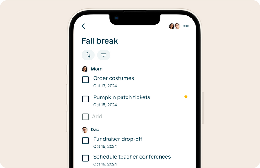 Features – Hearth Display