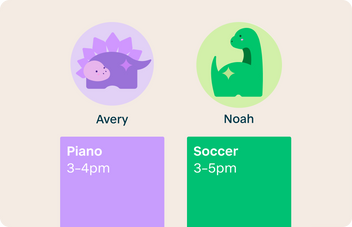 Features – Hearth Display