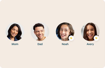 Features – Hearth Display