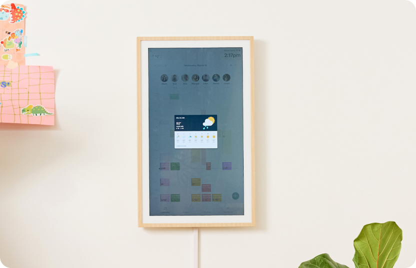 Features – Hearth Display